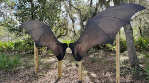 Volusia County Unveils Stunning Bat Wing Mural, Boosting Eco-Tourism ...