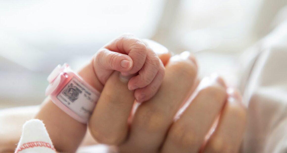 Is Stella Luchetta Still Alive? Ellen Corby Partner’s Wikipedia Bio And ...