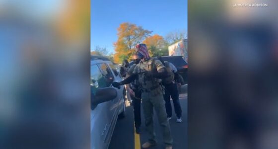 Federal Agents Detain Individuals in Addison Following Car Window ...