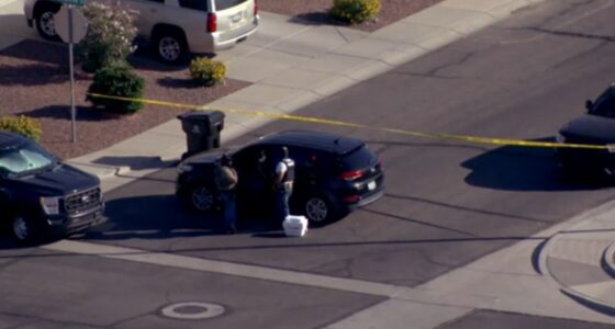 FBI Investigates After Driver Allegedly Collides with ICE Vehicle in ...