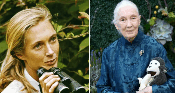 Discover the Truth About Jane Goodall's Family and Wealth ...