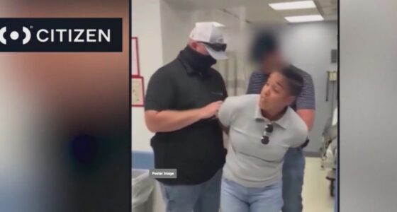 Anny Vtuber Age And Wikipedia: Real Face In IRL - Internewscast Journal