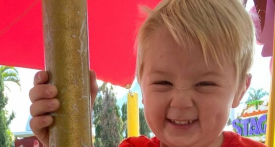 Tragic Final Days of Three-Year-Old Boy Fatally Injured in Car Accident ...