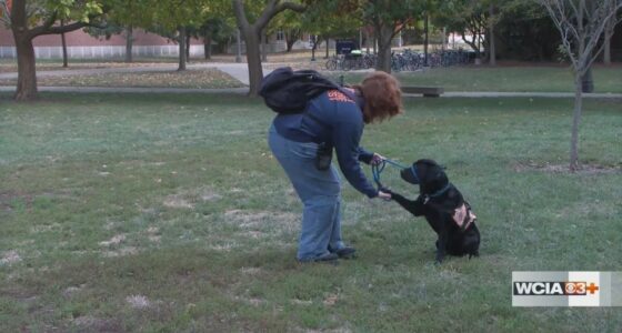 Is Stella Luchetta Still Alive? Ellen Corby Partner’s Wikipedia Bio And ...