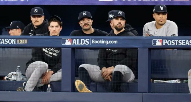 TikTok Chupapi Muñañyo Meaning Explained - Internewscast Journal