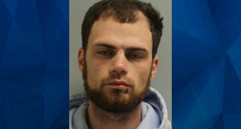 What Happened To Dr John Hamilton? – Where Is He Now? Susan Hamilton ...