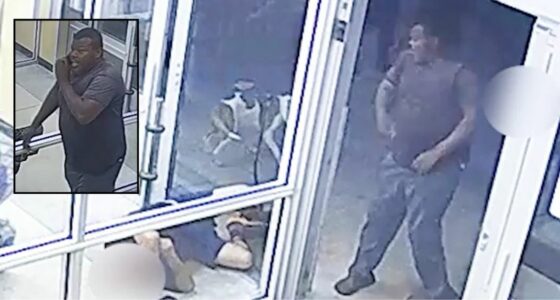 Man Hospitalized in Coma Following Assault at Aldi, Authorities Report ...