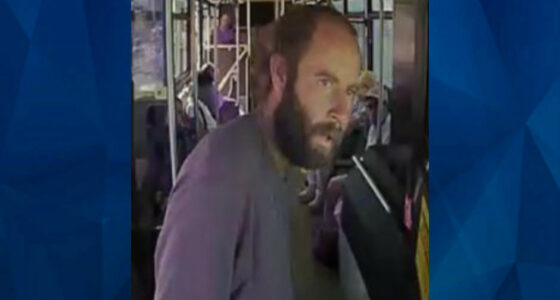 Convicted Sex Offender Accused Of Attempting To Abduct 11 Year Old Girl Internewscast Journal