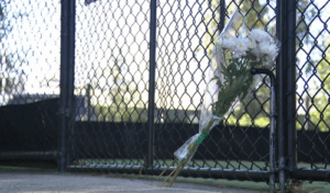 Young Cricketer Hospitalized with Severe Injuries After Training ...