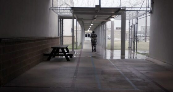Texas Corrections Officer Fired After Alleged Chicken Wing Smuggling ...