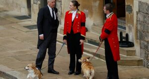Queen Elizabeth II's Beloved Corgis to Find New Home with Prince Andrew ...