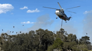 Urgent Warning: Intense Bushfire Threatens NSW South Coast Suburb as ...