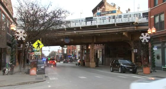 CTA Blue Line Delays: Incident and Fire Near Damen Avenue Cause ...
