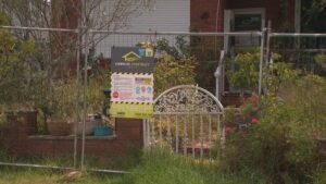 Mould Infestation Turns Dream Home into a Family's Worst Nightmare ...