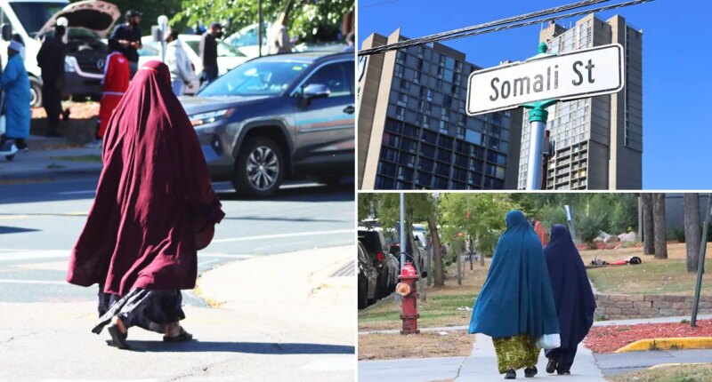 Exploring 'Little Mogadishu': Minnesota's Somali Community Faces ...