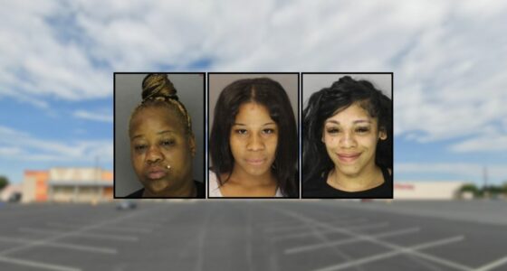 Shocking Incident: Mother Involved in Mall Parking Lot Fight with Baby ...