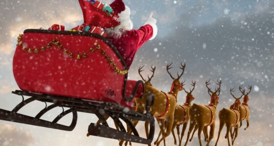 Track Santa's Magical Journey: NORAD Celebrates 70 Years of Santa ...
