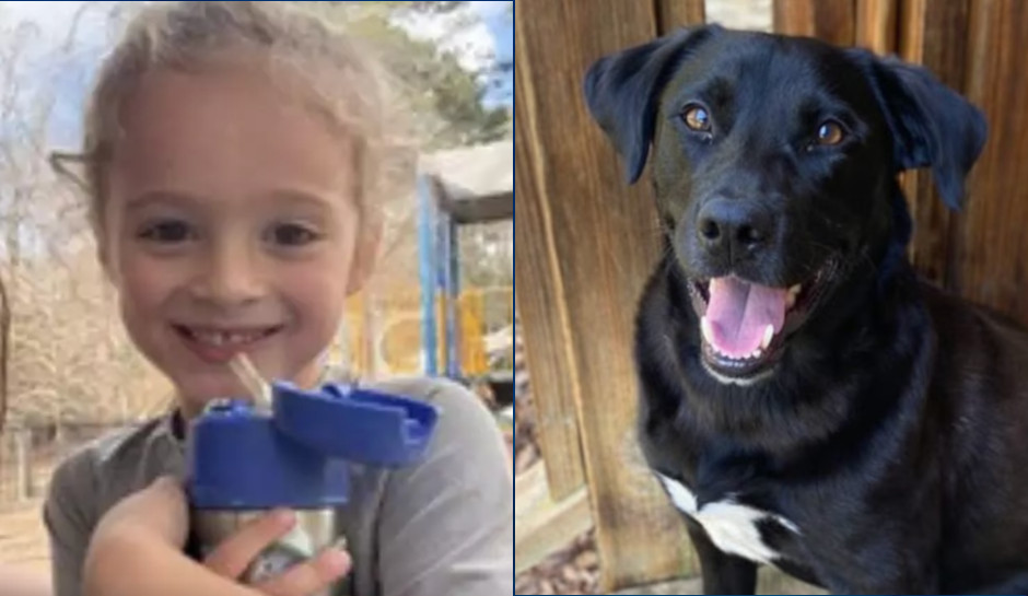 Tragic Discovery: Missing 4-Year-Old Boy Found Deceased Near Father's ...