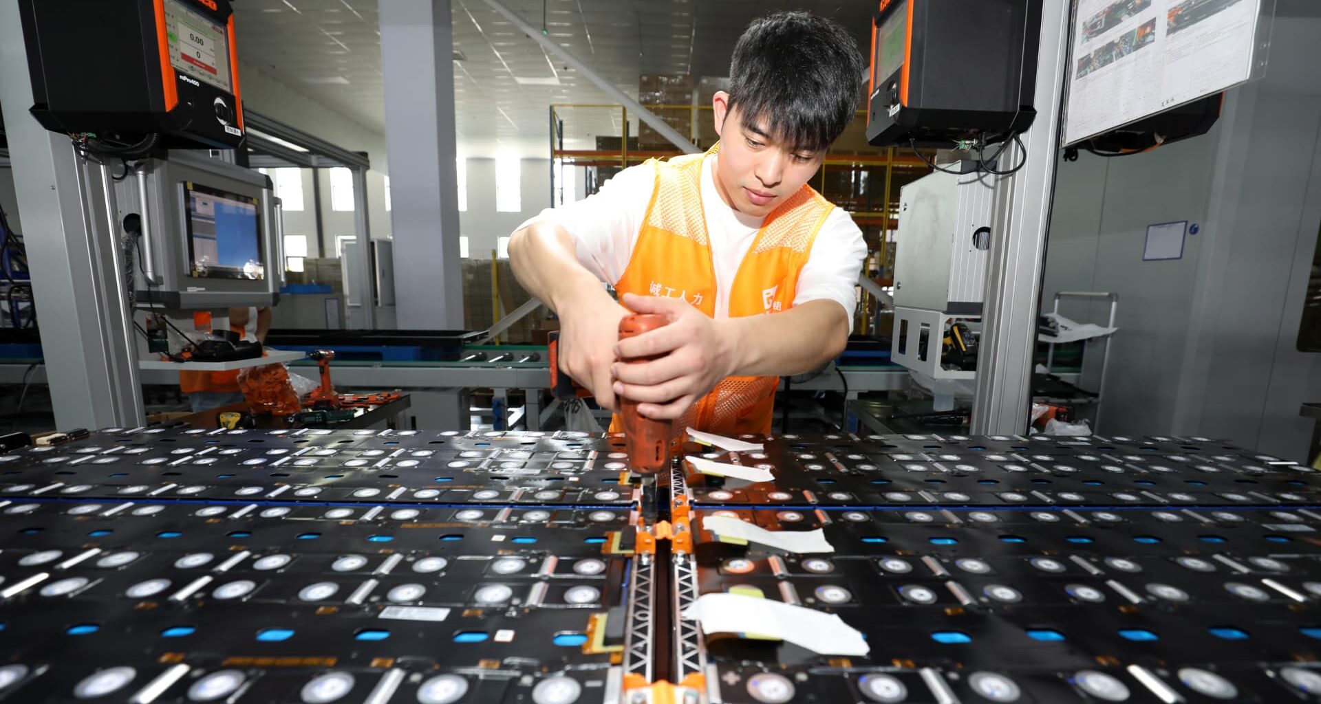 Inside the Life of Hollie Davidson: Career, Family, and Financial Success Revealed ...