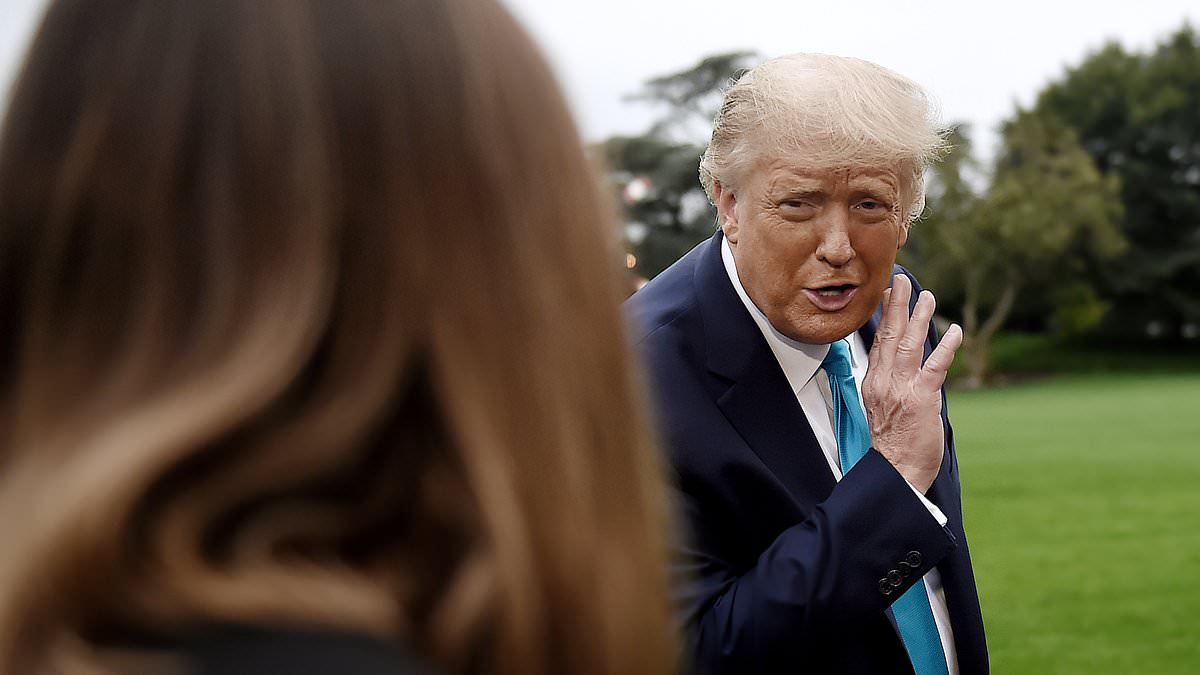 Democrat Hints at 2028 Presidential Bid Amid Unveiling of Trump's ...