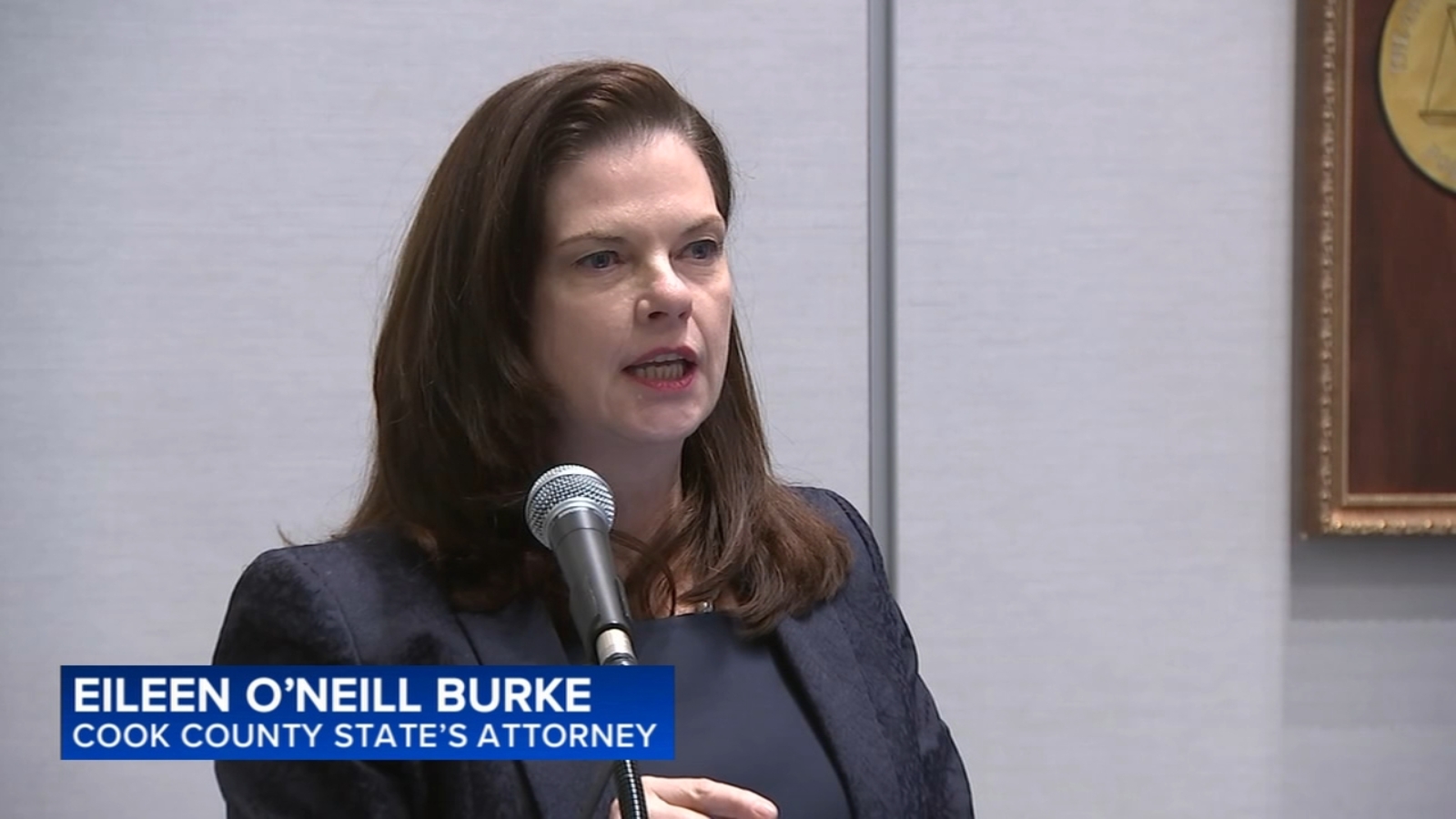 Cook County State's Attorney Eileen O'Neill Burke Champions Human ...
