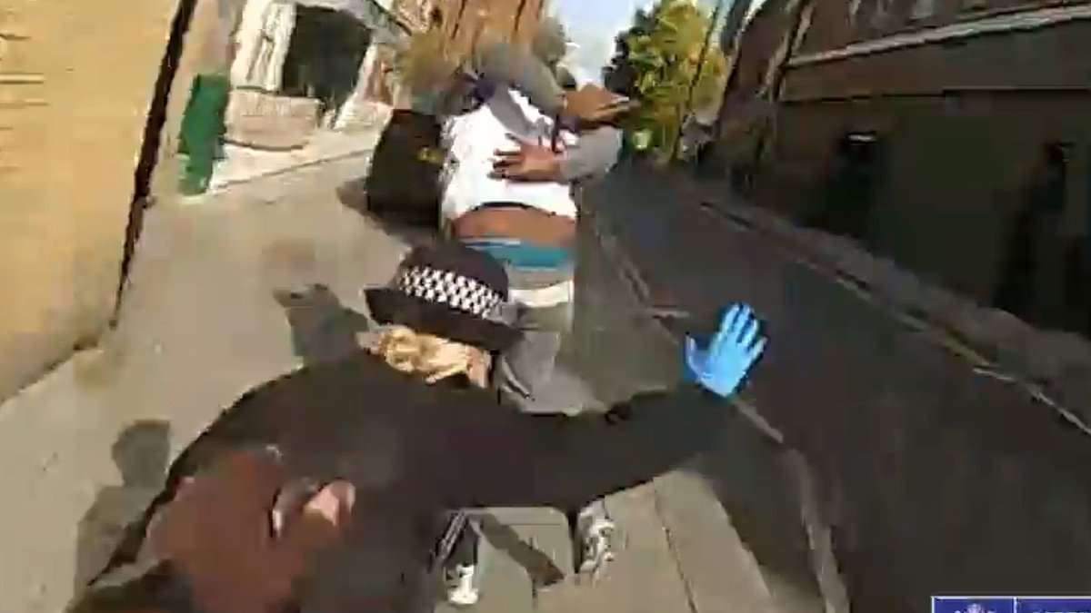 Revolutionary 'Big Brother Town' Surveillance Helps Police Nab ...