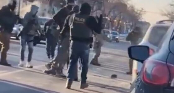 DHS Officer Allegedly Applauds During Fatal Incident Involving Alex ...