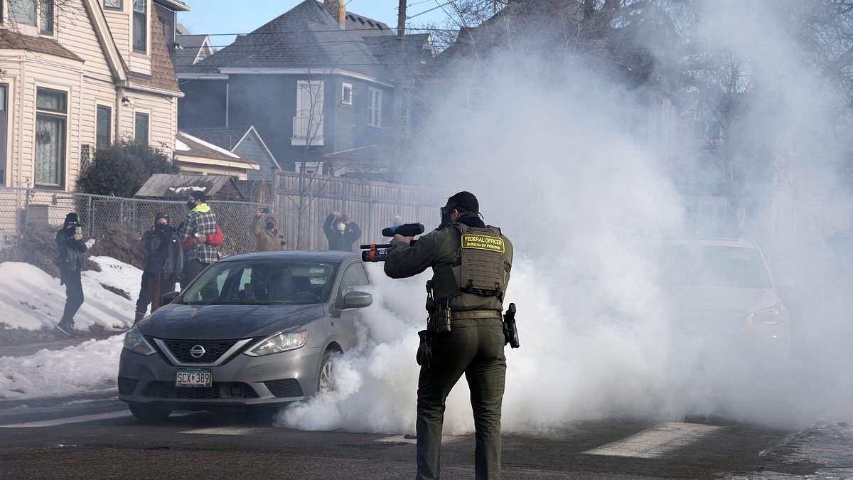 Democratic Lawmaker Proposes Prohibition on Former ICE Agents Joining ...