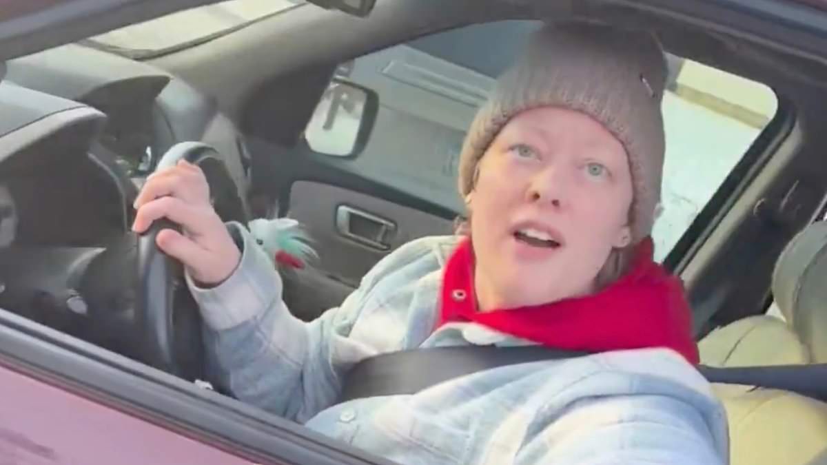 FBI Takes Over Renee Nicole Good ICE Shooting Investigation: Why Local ...