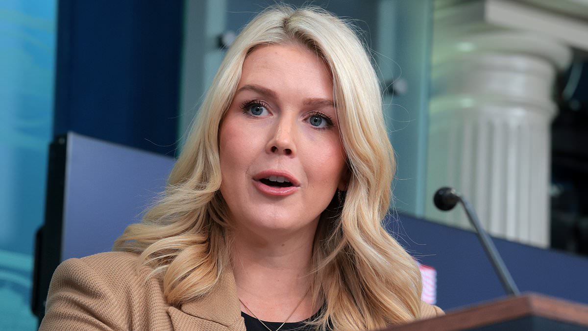 Karoline Leavitt Criticizes Journalist Over ICE Shooting Inquiry ...