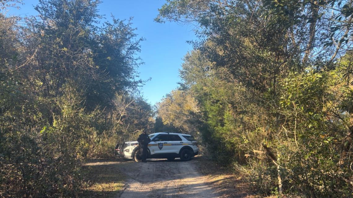 Tragic Incident at William Sheffield Park Sparks Investigation by ...