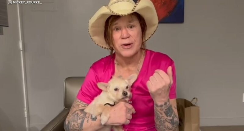 Mickey Rourke Clarifies GoFundMe Fundraiser: Urges Donors to Seek ...