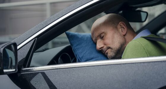 Seven Essential Driving Rules to Help You Steer Clear of Traffic ...