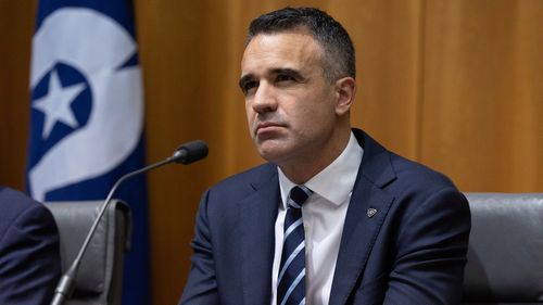 South Australian Premier Faces Fresh Legal Challenge: Second Defamation ...