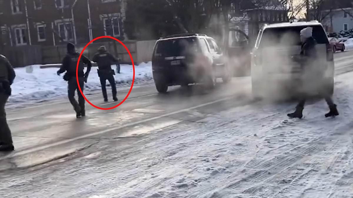 Experts in tactics identify pivotal moment in ICE shooting footage ...