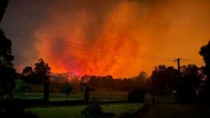 Teen Accused of Starting Major Bushfire with Firecracker on New Year's ...