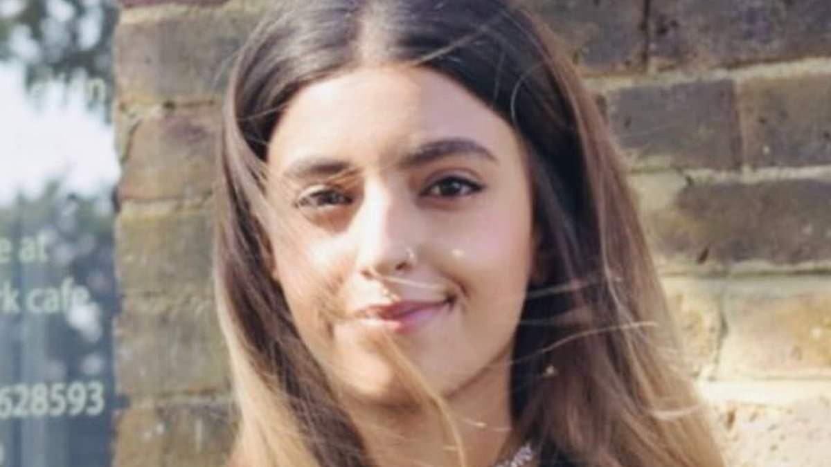 Three Members of Palestine Action Conclude Intense 73-Day Hunger Strike ...