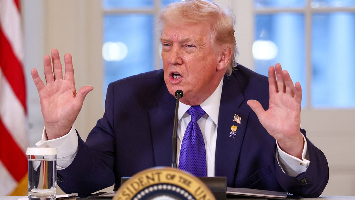 Trump Takes Charge: Minnesota Officials Ousted in Controversial ICE ...