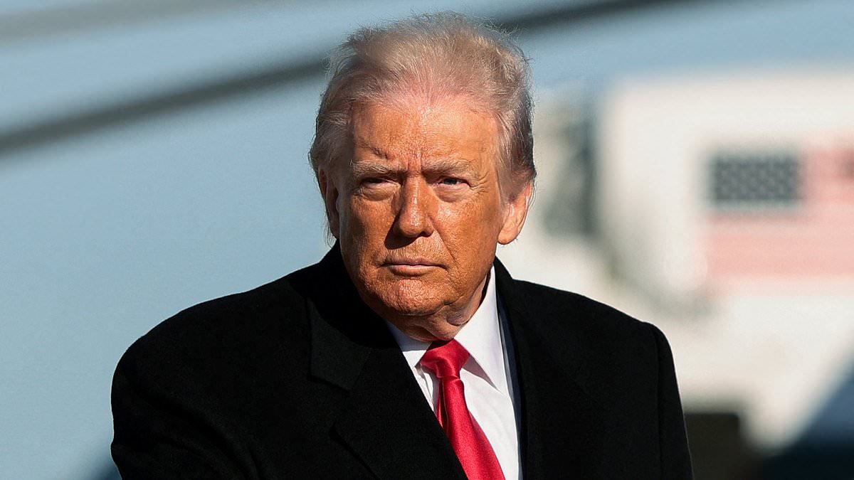 Trump Pauses Military Strategy Following Iran's Airspace Reopening ...