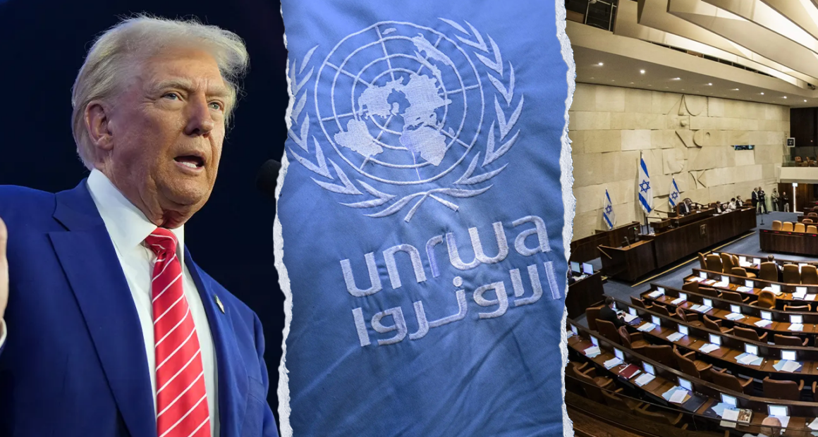 Biography of Judge Tony Graf: Age, Spouse, Salary, and Political ...