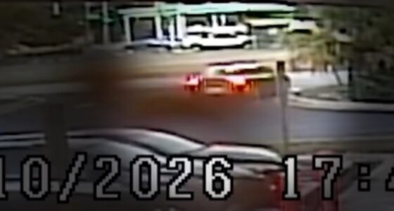 Caught on Camera: Vehicle Linked to Fatal Hit-and-Run of Elderly Man in ...