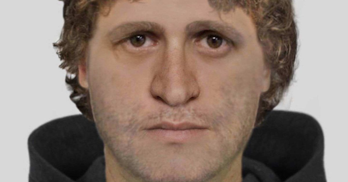 Melbourne Dog Walker Assaulted: Urgent Safety Alert Issued for Local ...