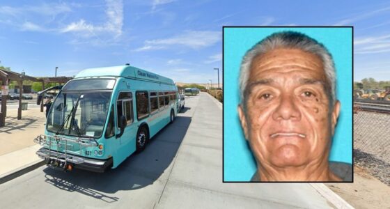 78-Year-Old Man Arrested for Stalking Mother and Child on Bus Route ...