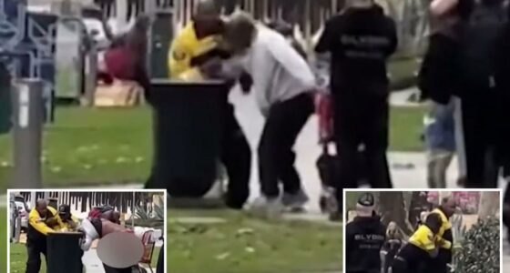 LA Security Guard Captured on Video in Altercation with Homeless ...
