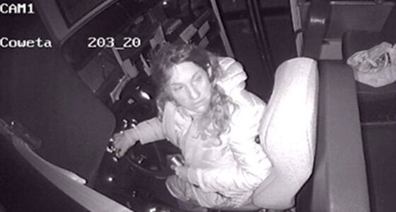 Woman Accused of Taking School Bus for Unauthorized Nighttime Drive ...