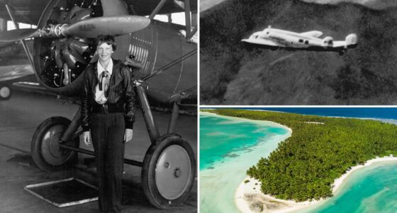 Amelia Earhart's Mystery Solved? Pilot Discovers Possible Wreckage on ...