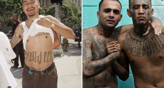 Unveiling the Dark Legacy: Inside the Violent History of LA's Infamous ...
