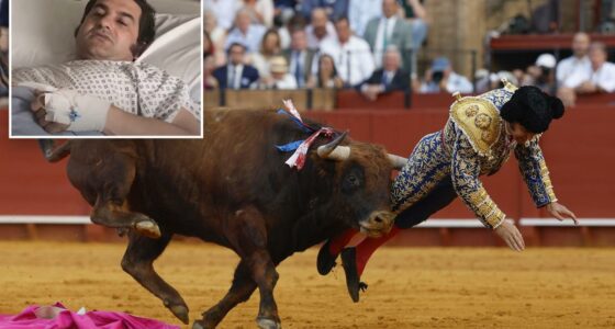 Spanish Matador Opens Up About Recovery Journey After Severe ...