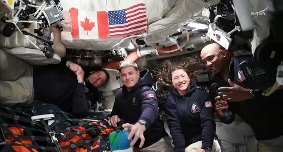 NASA Faces Surge of Moon-Hoax Allegations Following Viral 'Green-Screen ...