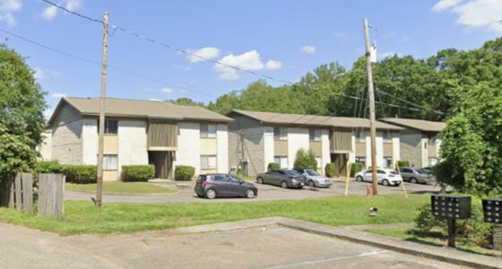 Police Report: Woman Allegedly Stabs Boyfriend Following TV Dispute ...